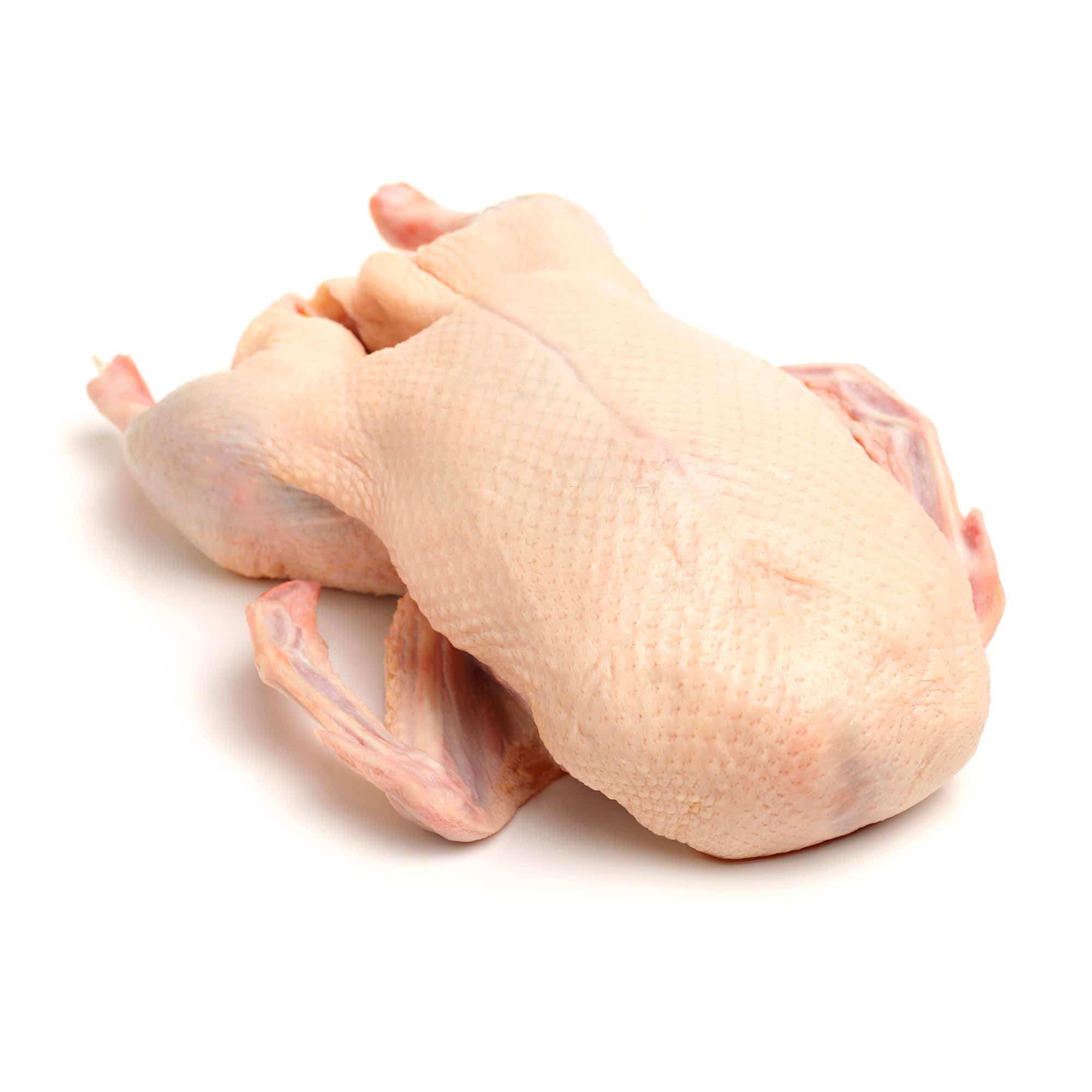 Hus-Sziget Kft. – Export, import, wholesale and retail of meat products