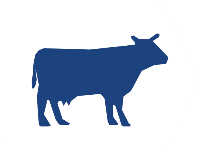 Meat import and export Hungary - Hus-Sziget Kft.